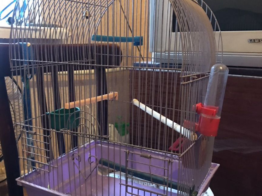 Клетка для попугая бу