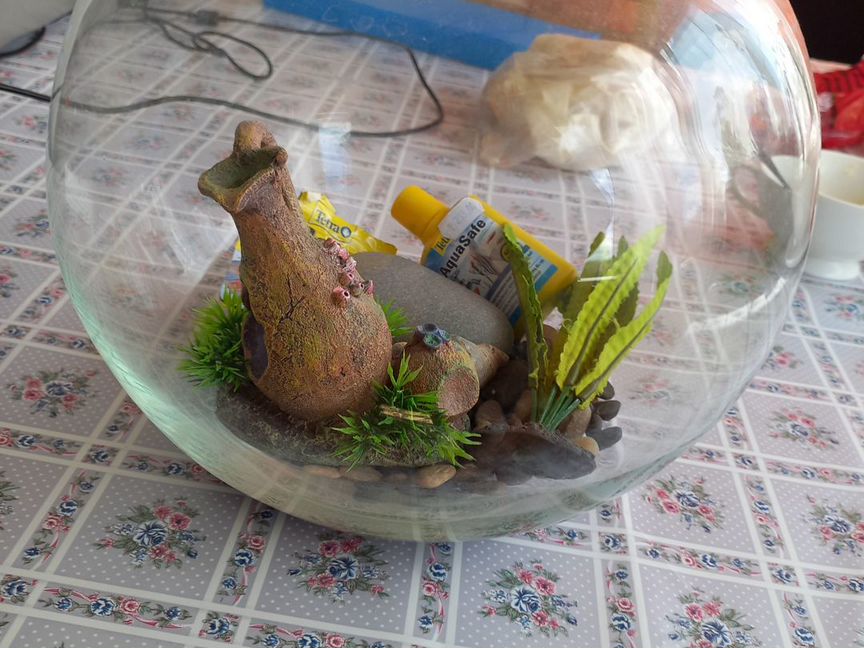 Аквариум для рыбок