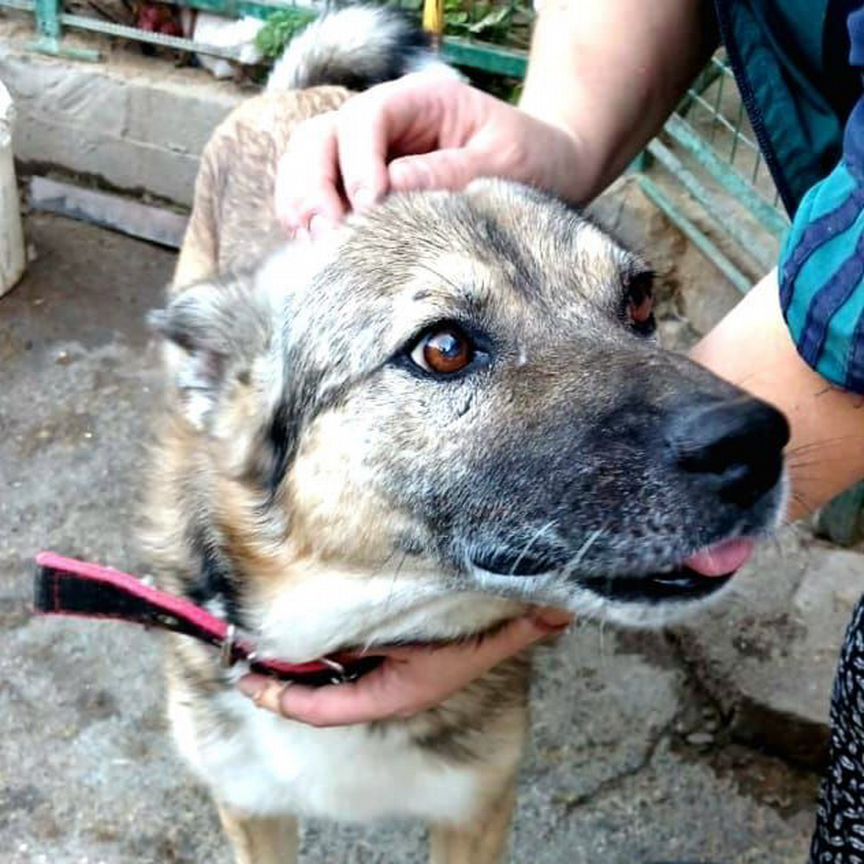 Охранник Тимур ищет работу