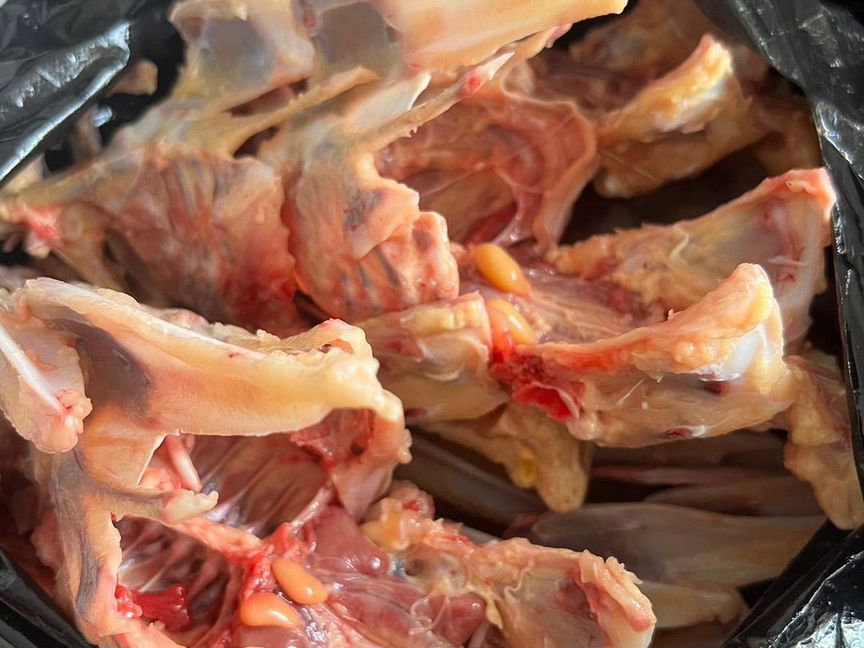 Мясо для собак