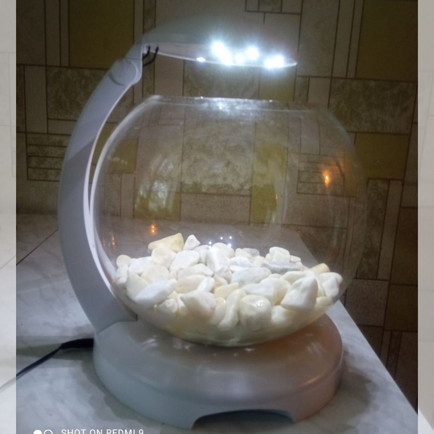 Аквариум