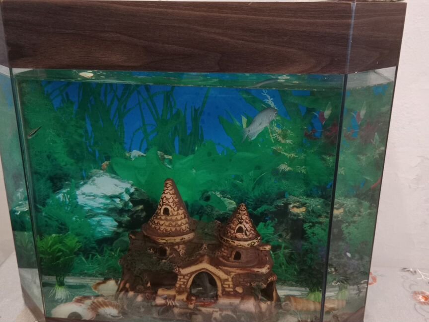 Аквариум