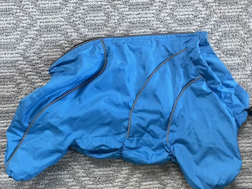 Дождевик на француза/мопса