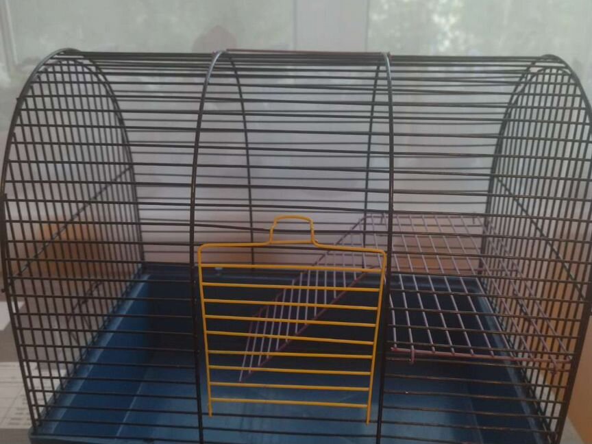 Клетка 31*21*33