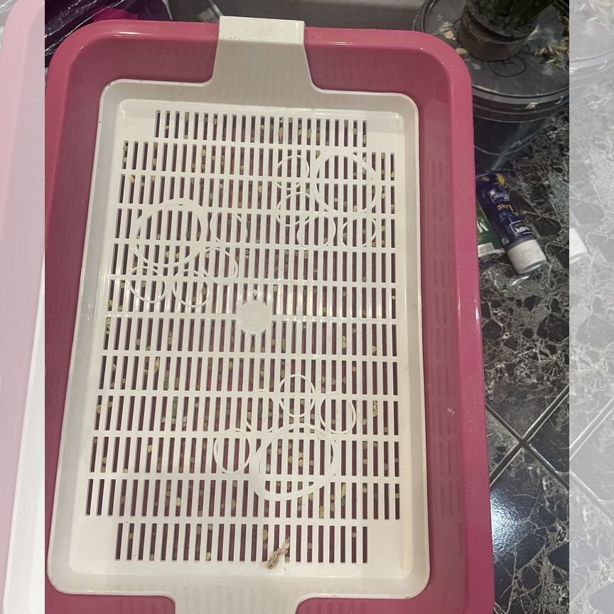 Кошачий лоток и лежанка