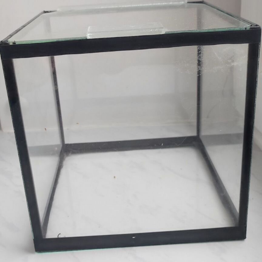 Аквариум/ террариум стеклянный маленький с крышкой