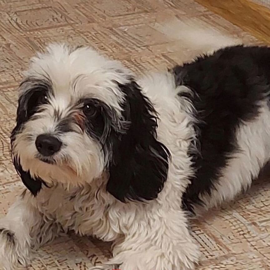 Очень красивый малыш