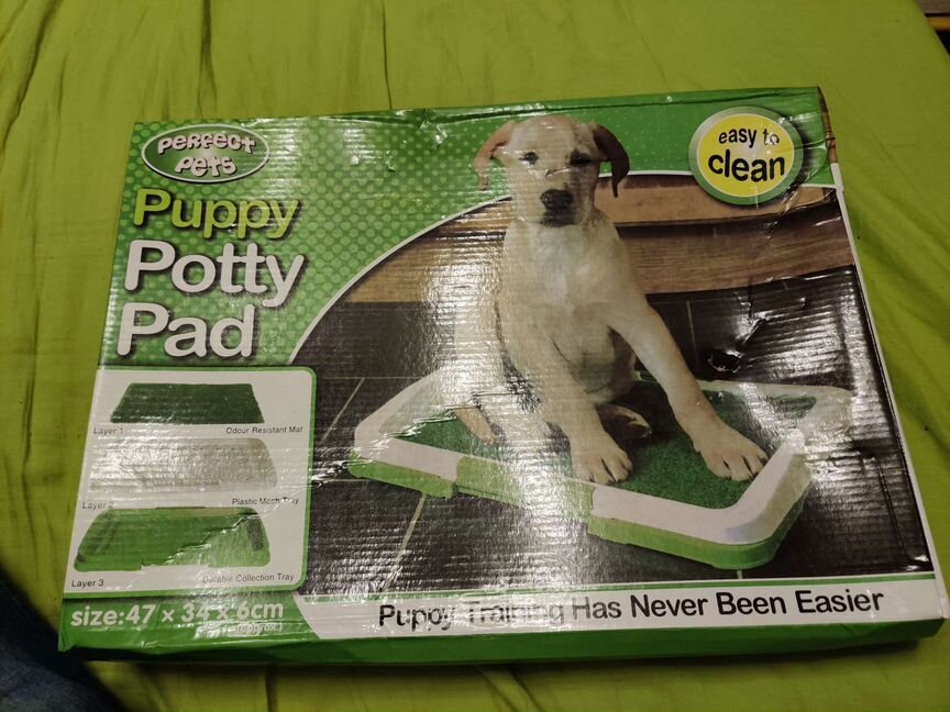 Лоток для собак