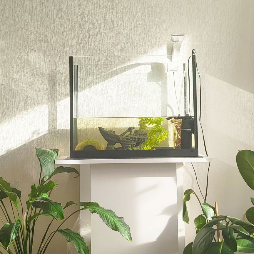 Аквариум и тумба для аквариума AquaPlus