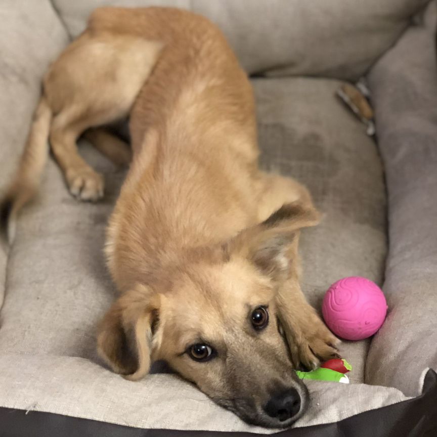 Малышу из Курска нужен дом