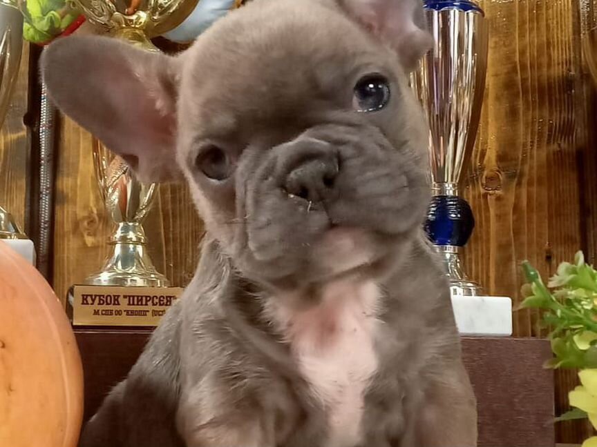 Цветные Мальчишки и Девчонки с Докум