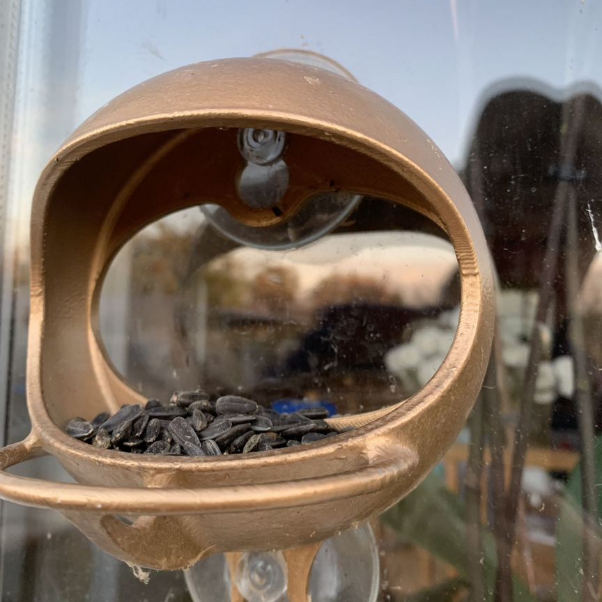 Кормушка для птиц