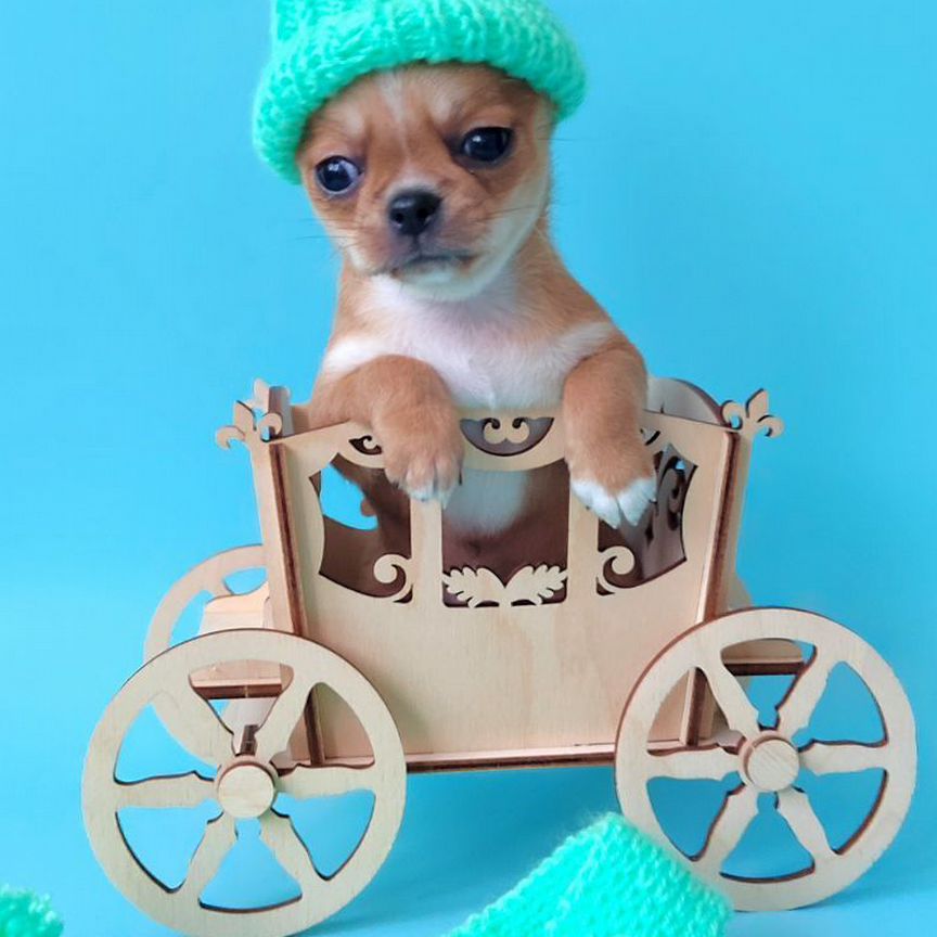 Брутальный красавчик