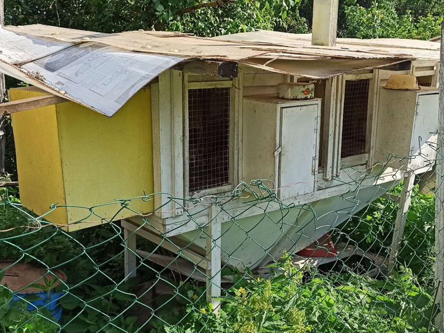 Крольчатник