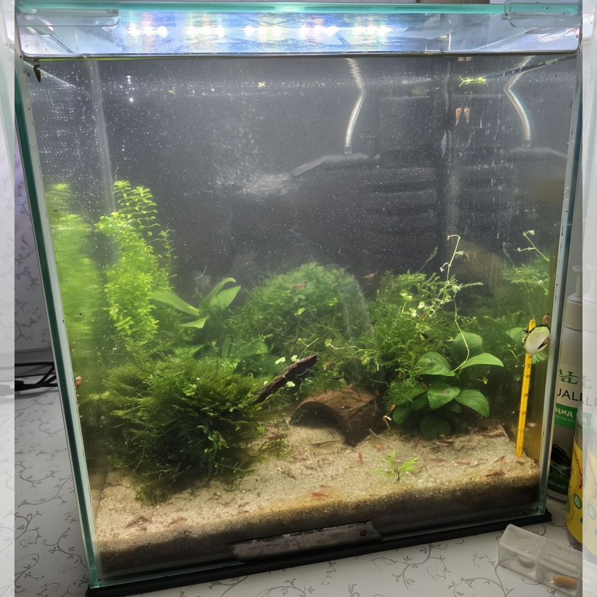 Аквариум аквариумы