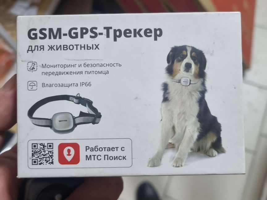 Ошейник GSM GPS Трекер