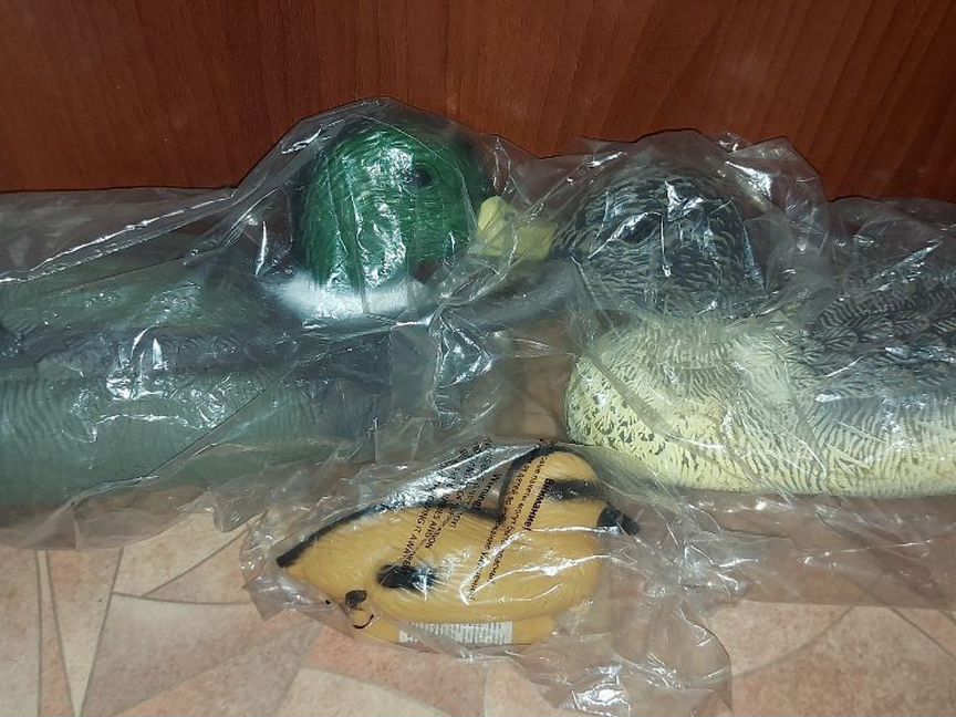 Подсадные утки