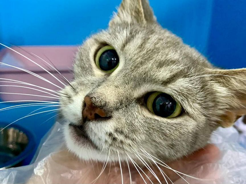 Ежевика ждёт котородителей