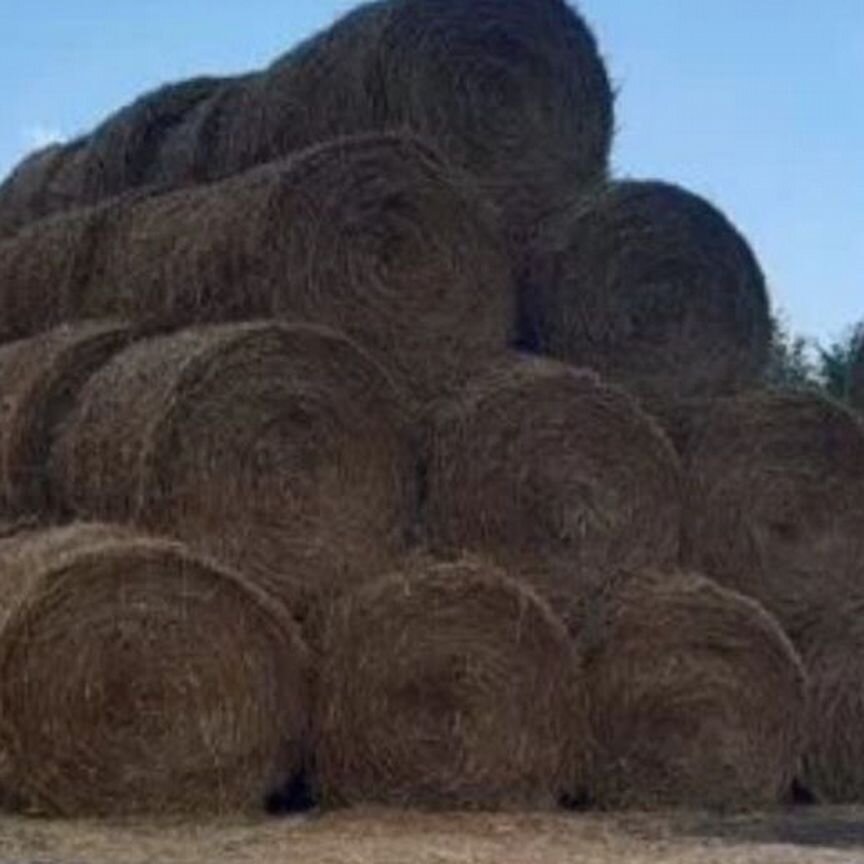 Солома в рулонах и тюки