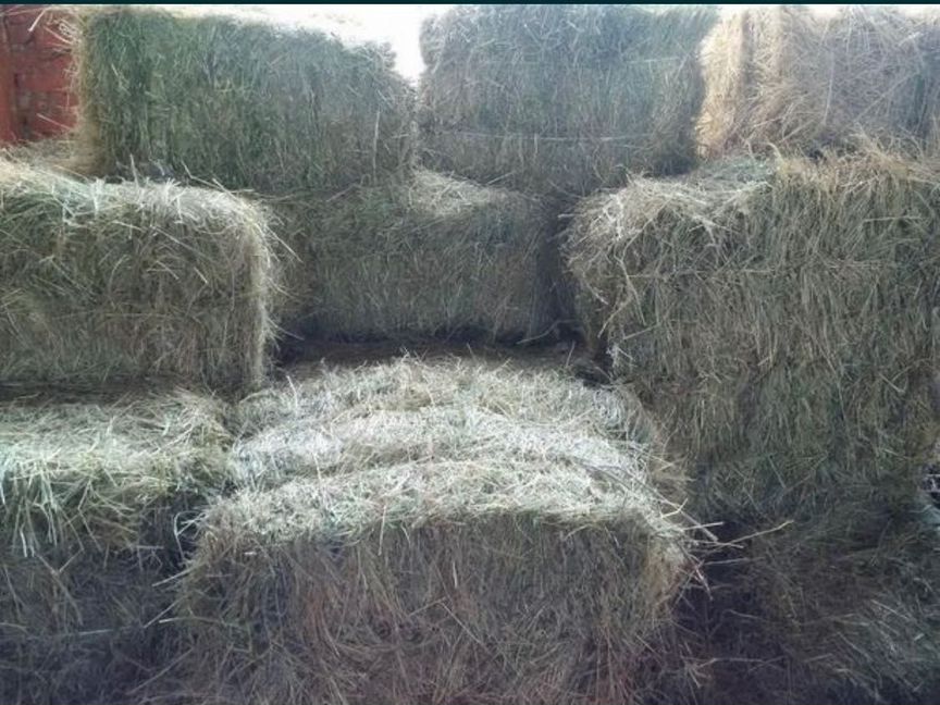 Сено и гранулы люцерны