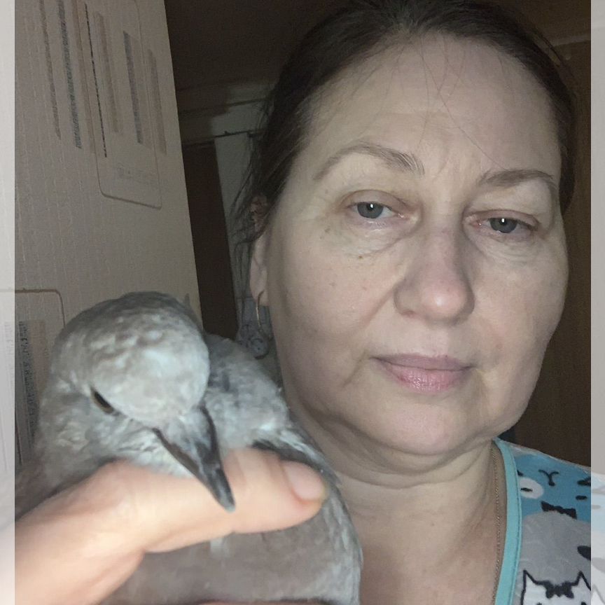 Передержка птиц