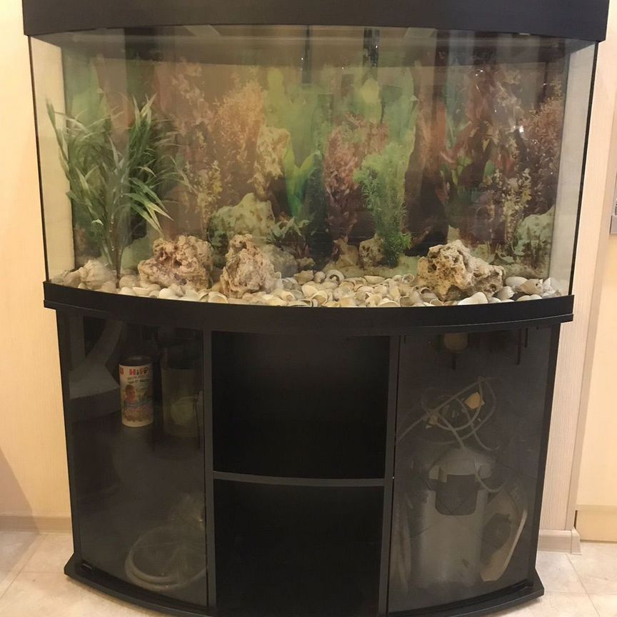 Аквариум с тумбой бу