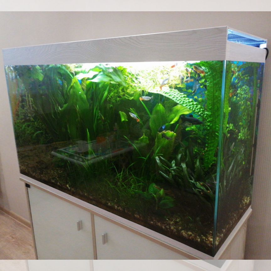 Аквариум 180 литров с тумбой