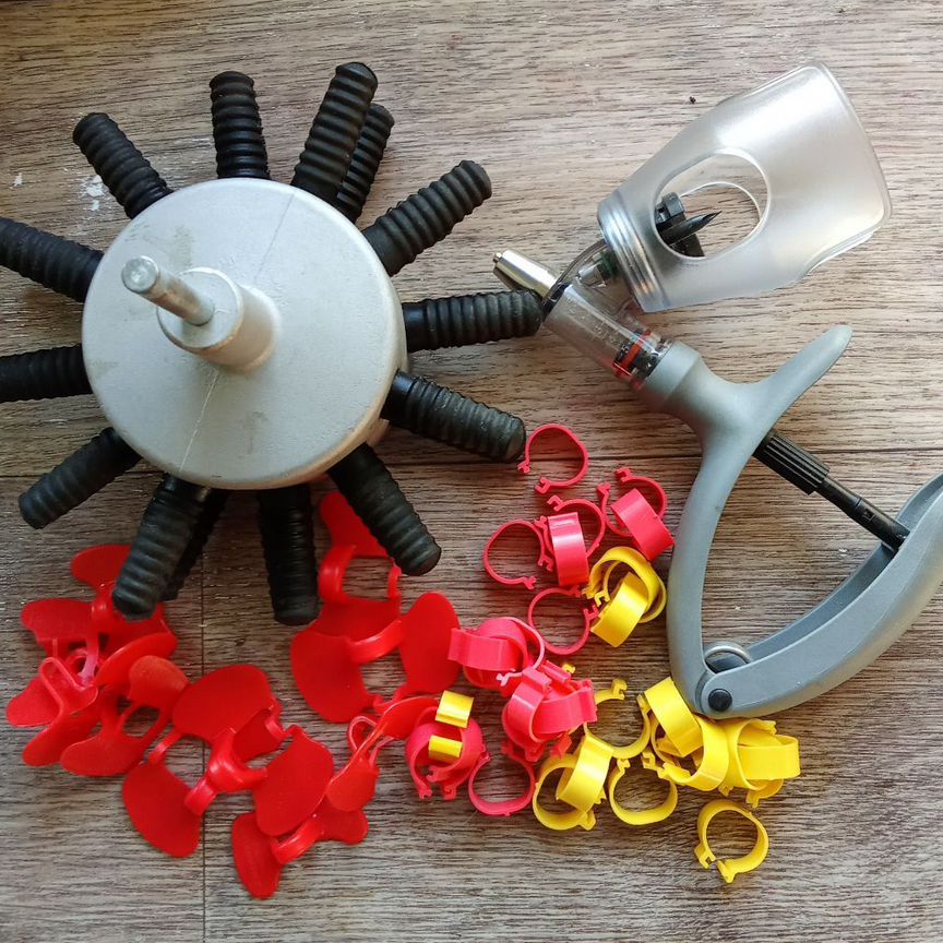 Одним лотом