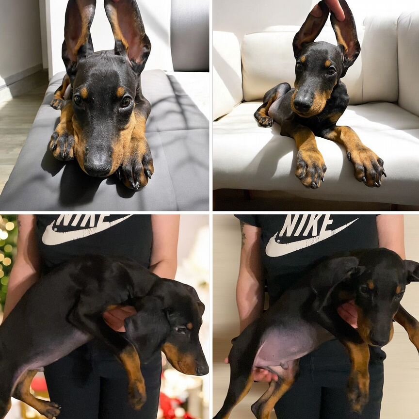 Мальчишечка