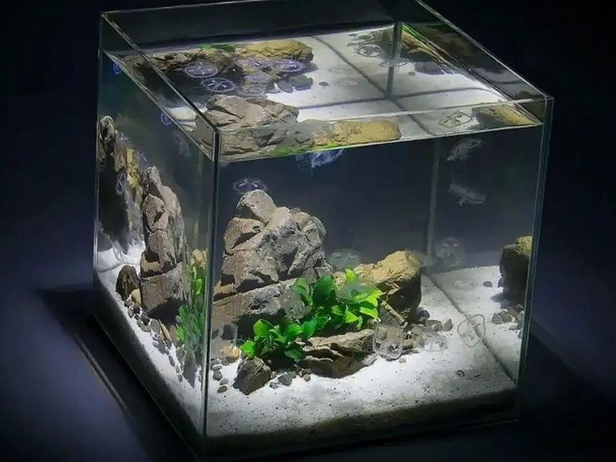 Аквариум куб квадратный большой 150 л
