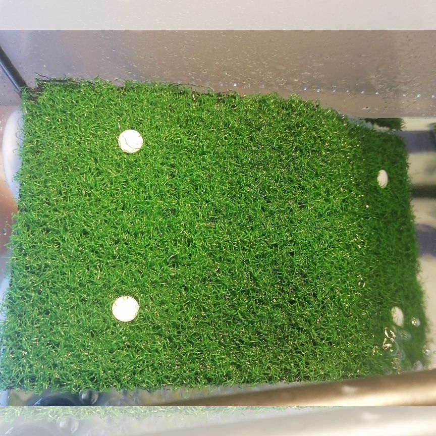 Островок для черепахи