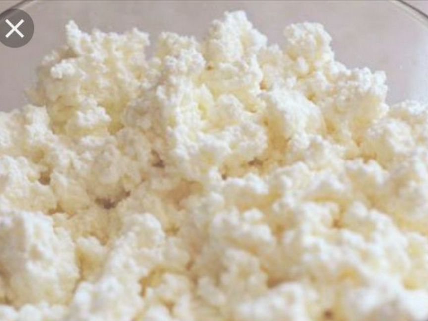 Творог для животных