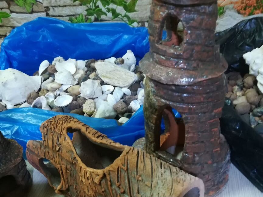 Всё для аквариума