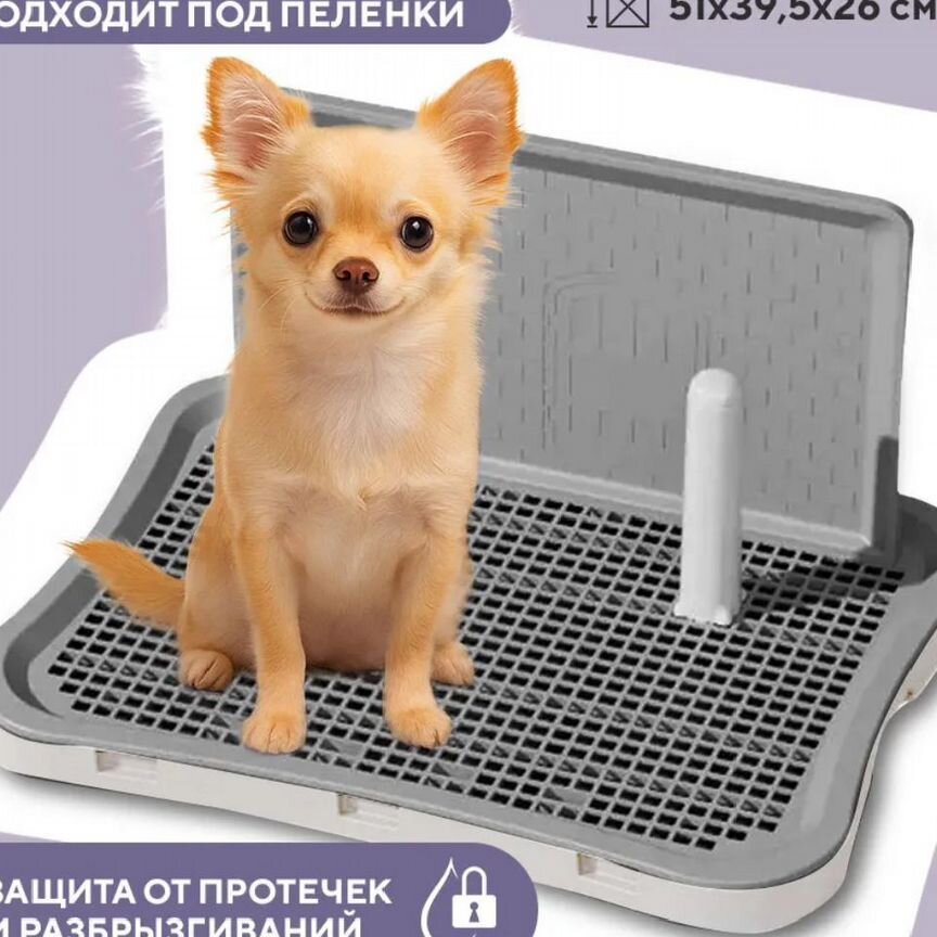 Лоток туалет для собак