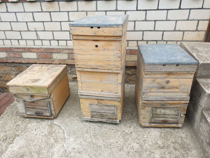 Улей для пчел бу остатки рамки рамканос мёдогонка