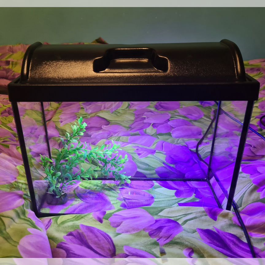 Аквариум 8л плюс абсолютно всё к нему