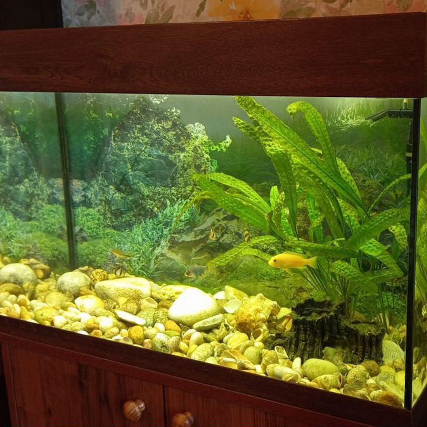 Аквариум с рыбками 80 л