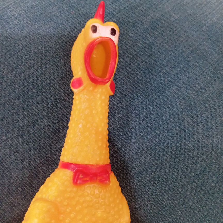 Игрушки для собак новые