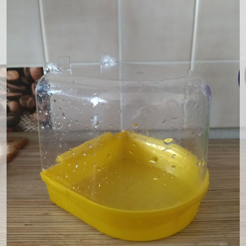 Купалка для попугая