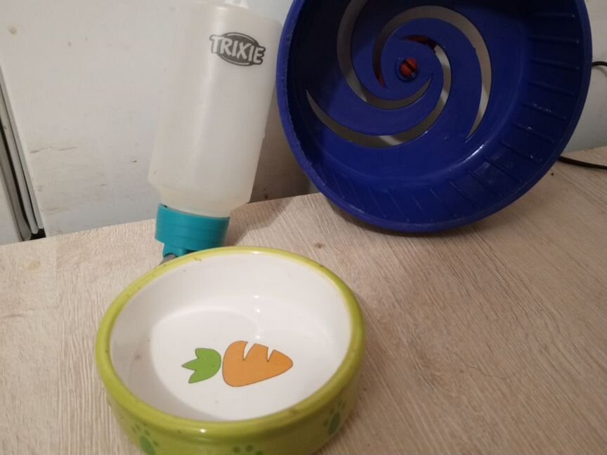 Принадлежности в клетку