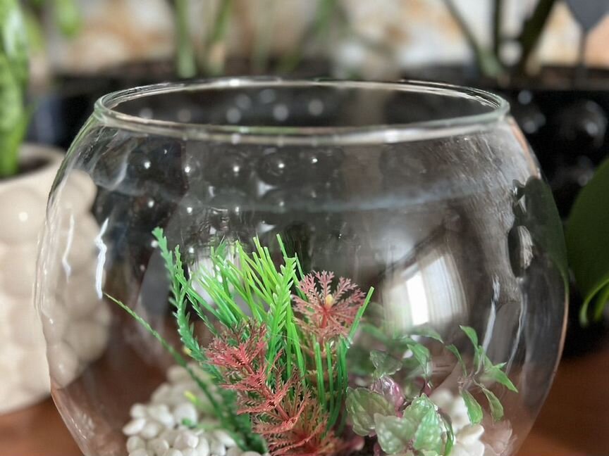 Аквариум (прибл. 4л)