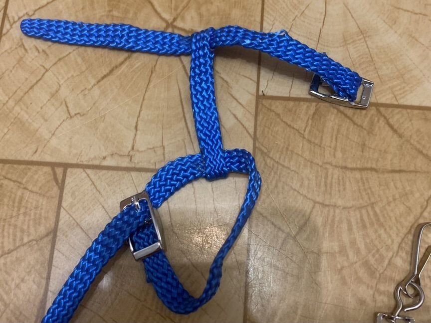 Шлейка для крыс