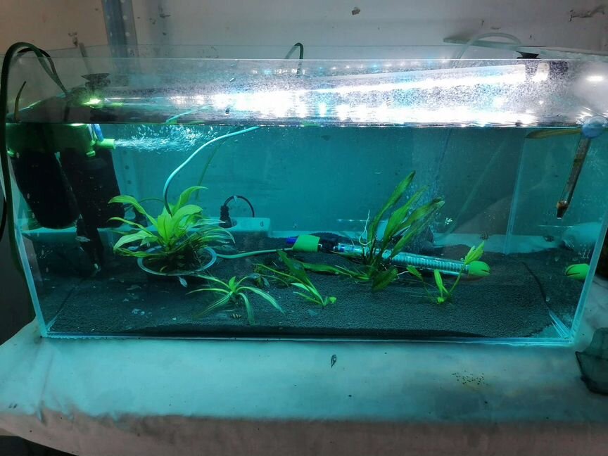 Аквариум 54л и 72