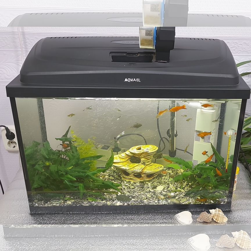 Аквариум с рыбками