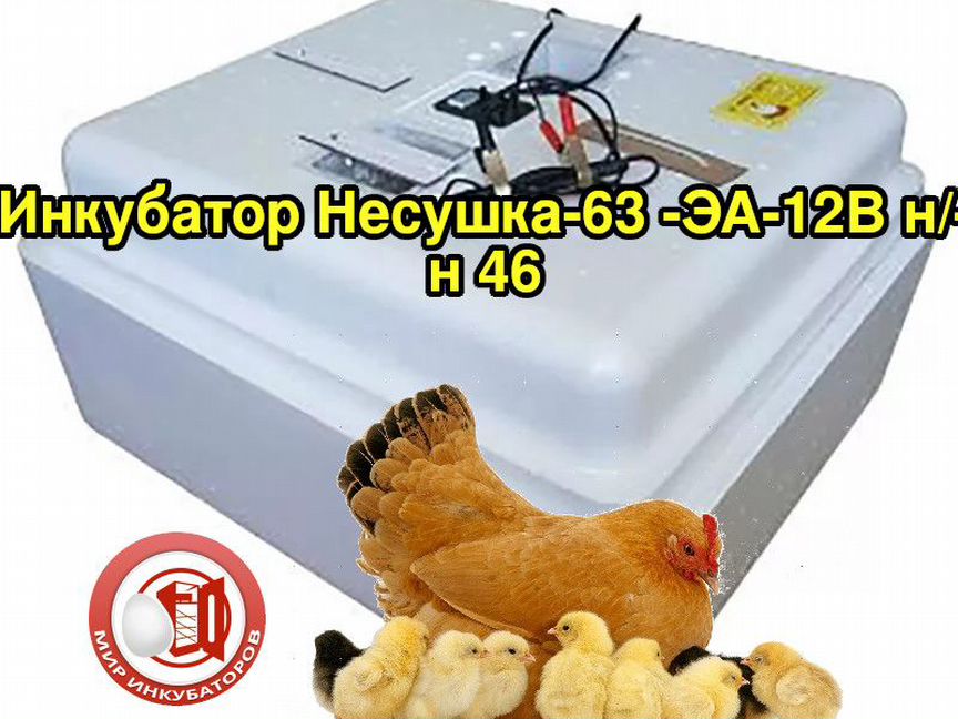 Инкубатор