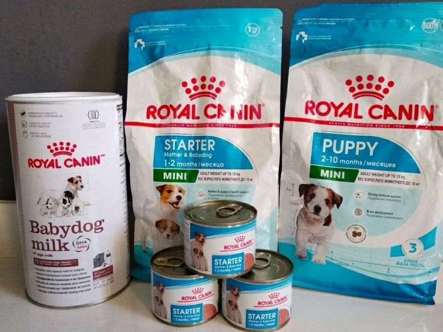 Корм для собак royal canin starter