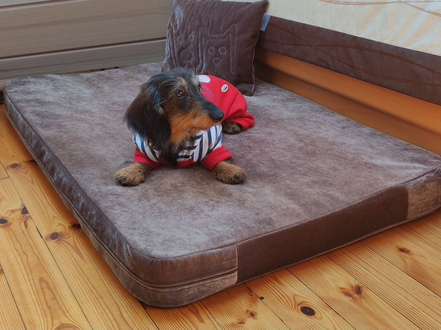 Настоящий ортопедический матрас для собак