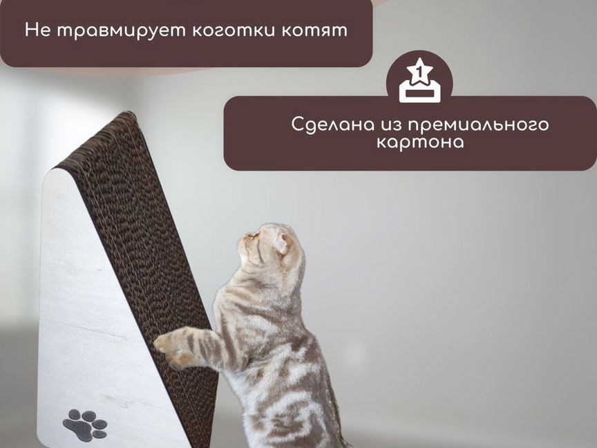 Когтеточка для котят