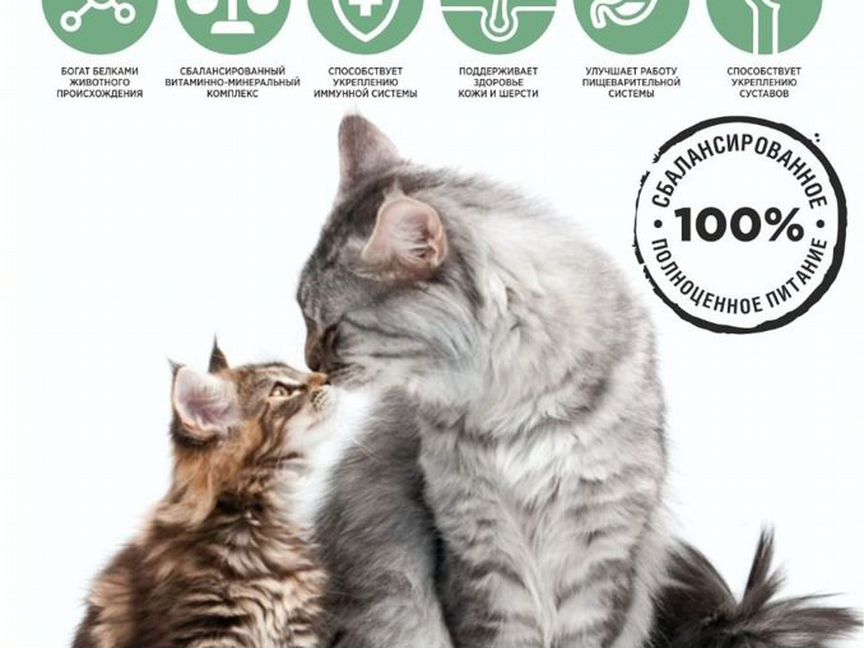 K&D pet Сухой холистик корм для котят и кошек