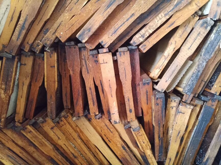 Сушь рутовская